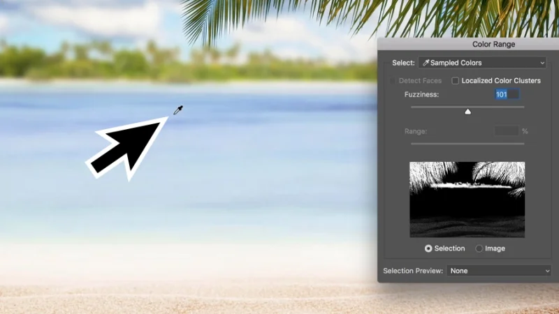 Master Photoshop's Color Range Tool | BYOL Blog | Bring Your Own Laptop