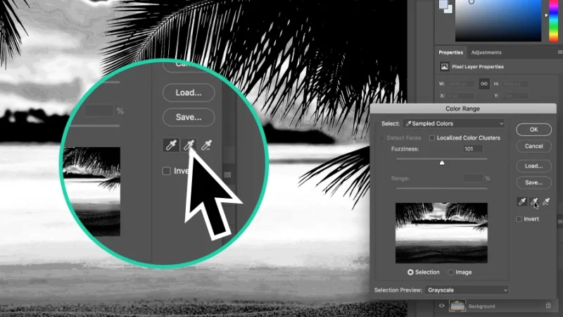Master Photoshop's Color Range Tool | BYOL Blog | Bring Your Own Laptop