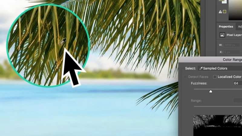 Master Photoshop's Color Range Tool | BYOL Blog | Bring Your Own Laptop