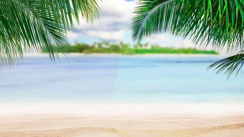 Master Photoshop's Color Range Tool | BYOL Blog | Bring Your Own Laptop