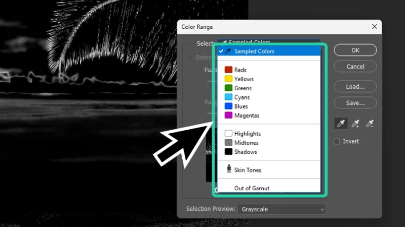 Master Photoshop's Color Range Tool | BYOL Blog | Bring Your Own Laptop