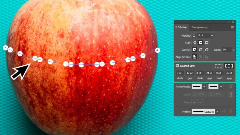 dashed line illustrator