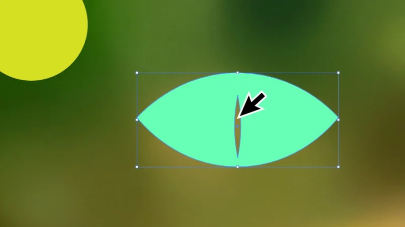 Compound Paths vs. Compound Shapes in Illustrator: Beginner to Advanced ...