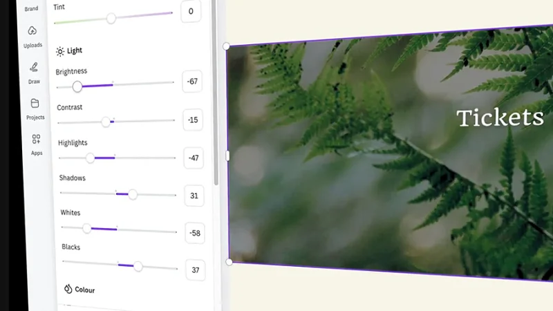 What is Canva? A Comprehensive Guide to This Game-Changing Design Tool ...