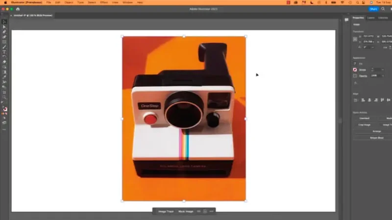 How to Vectorize an Image in Illustrator | A step-by-step Guide | Bring ...